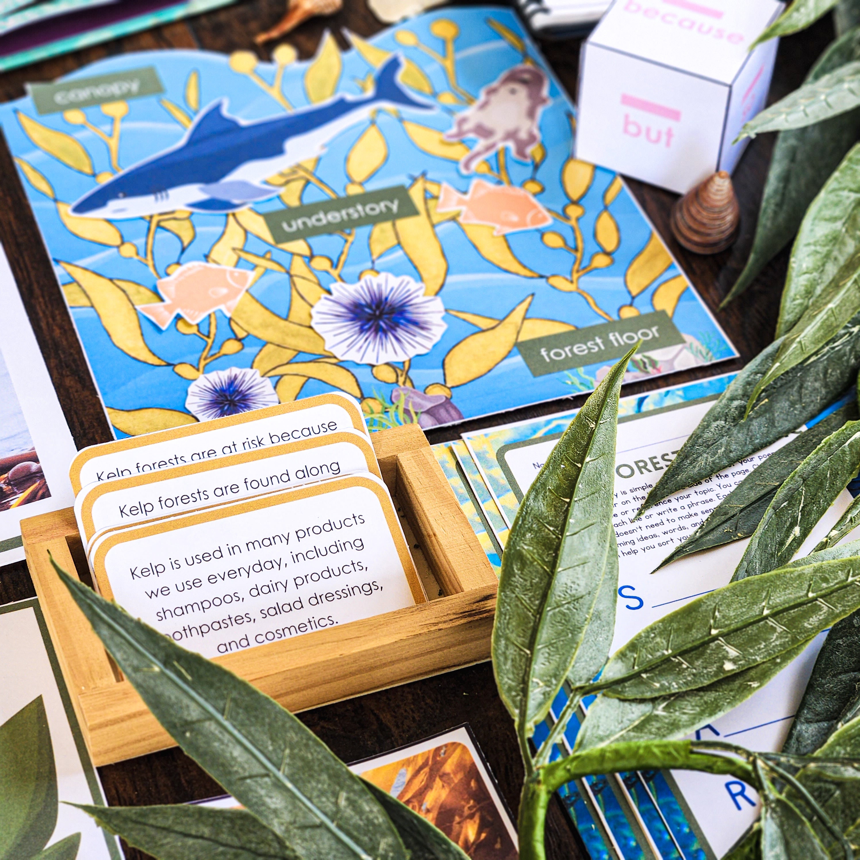 Kelp Forest Explorer Unit Study Montessori Zoology - Etsy