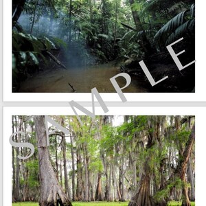 Biomes Mats - Cursive Font | Digital Download - Etsy