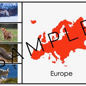 Animals of the World Continent Mats PRINT | Montessori Geography ...