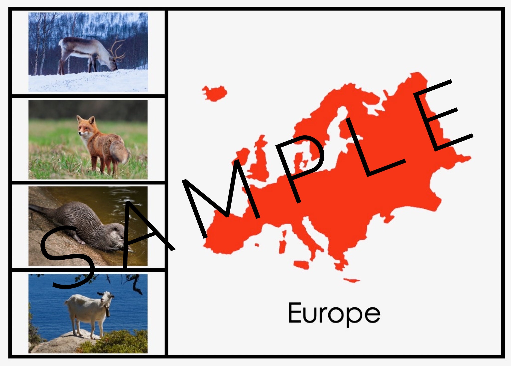 Animals of the World Continent Mats PRINT Montessori - Etsy