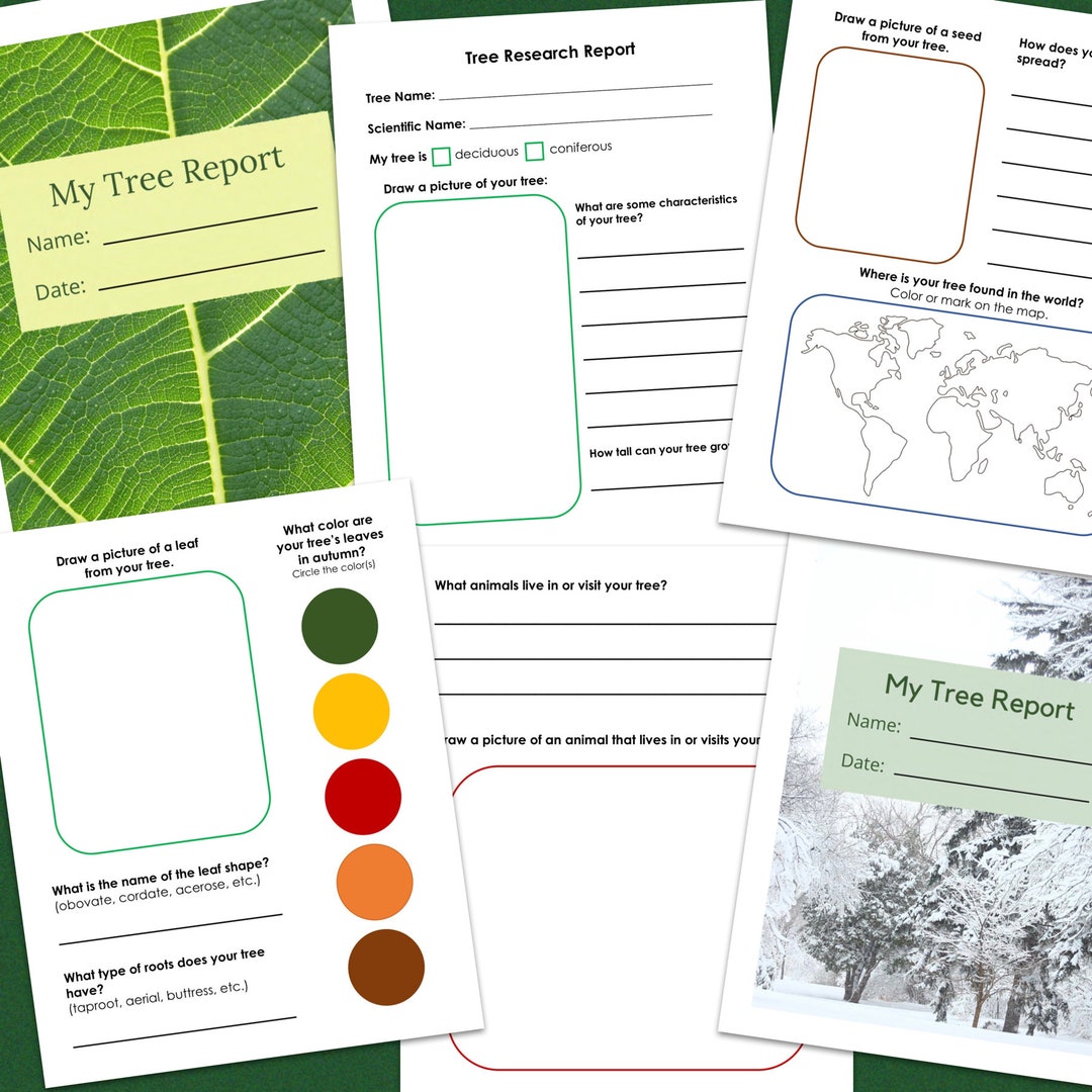 Tree Research Report | Montessori | Botany - Etsy