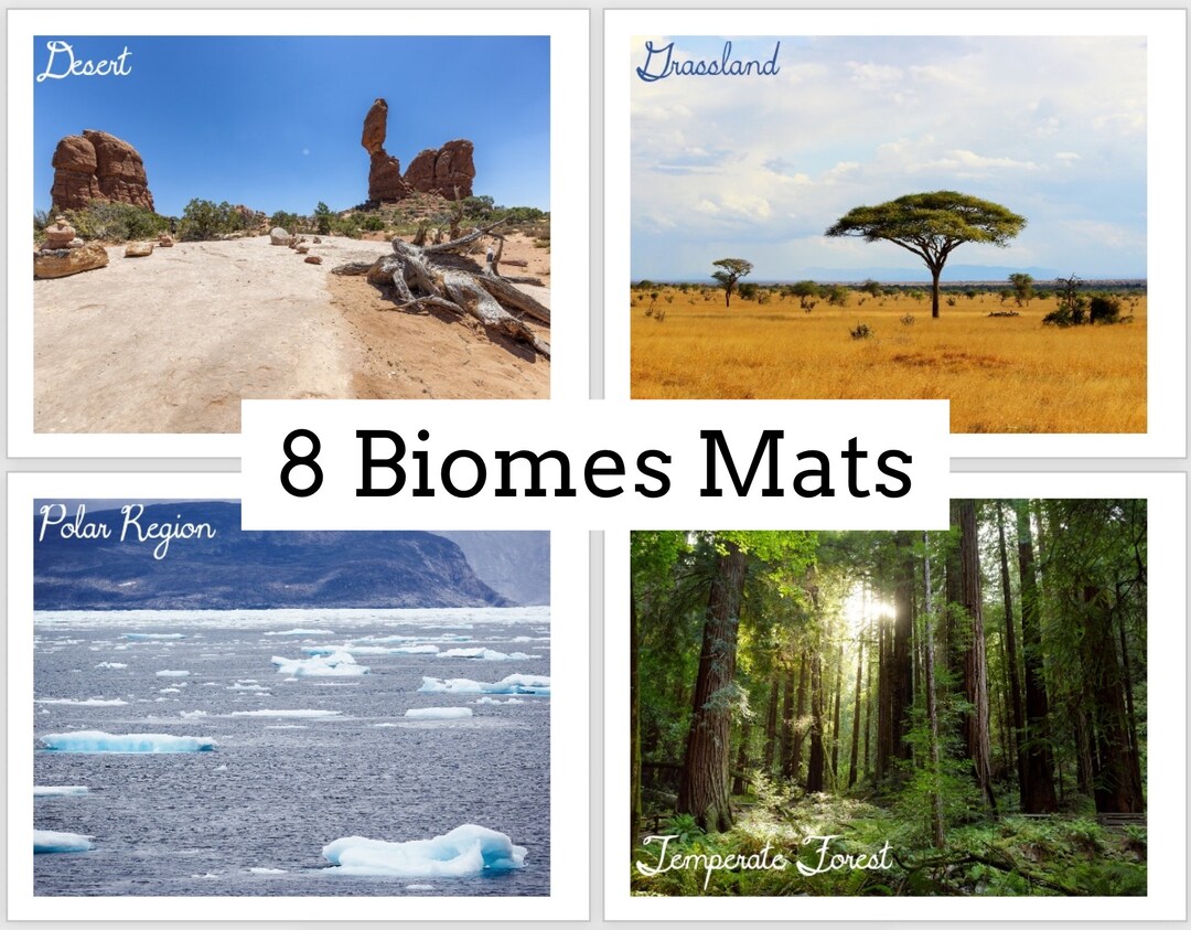 Biomes Mats - Cursive Font | Digital Download - Etsy
