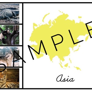 Animals of the World Continent Mats CURSIVE | Montessori Geography ...