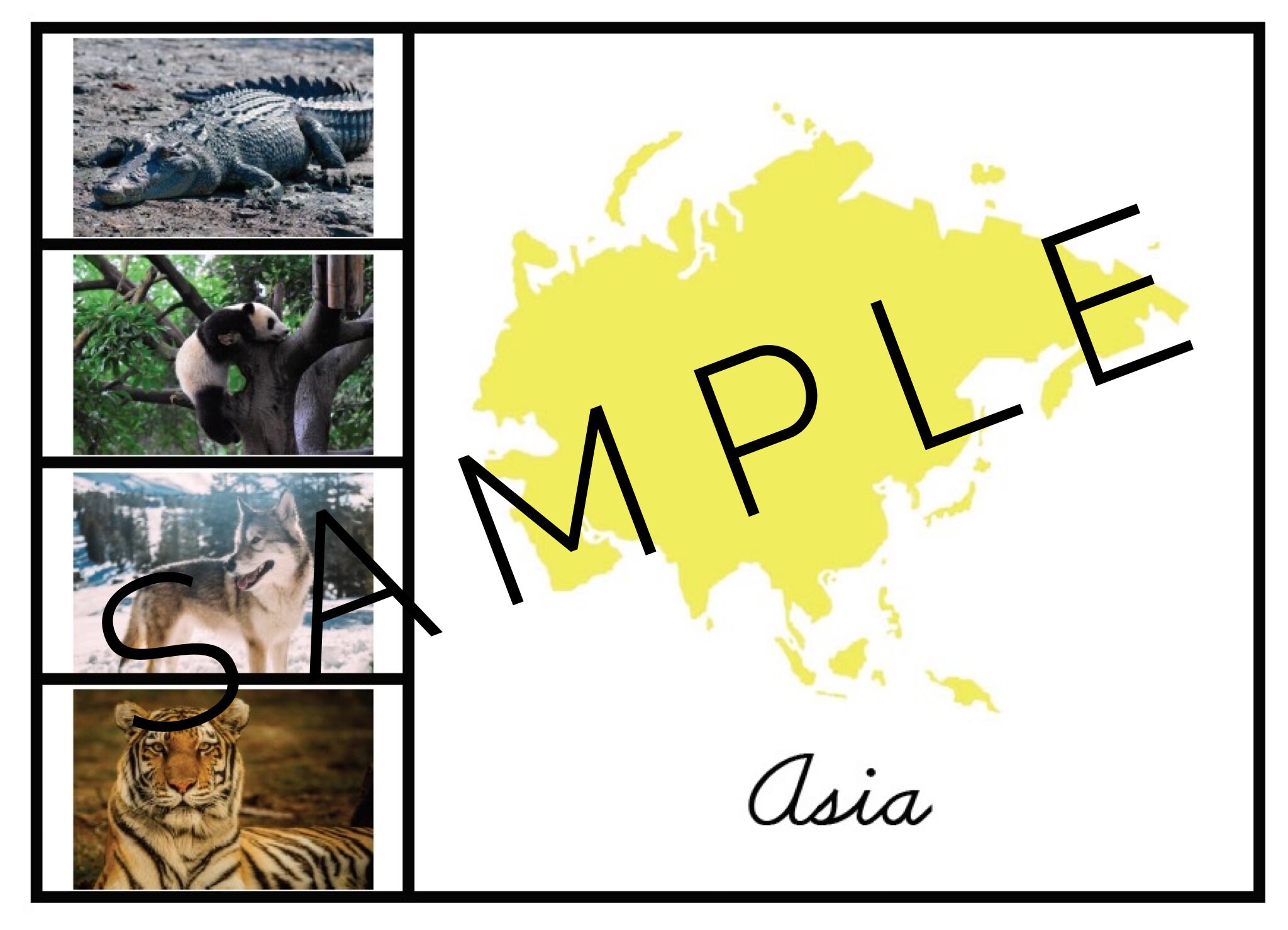 Animals of the World Continent Mats CURSIVE | Montessori Geography ...