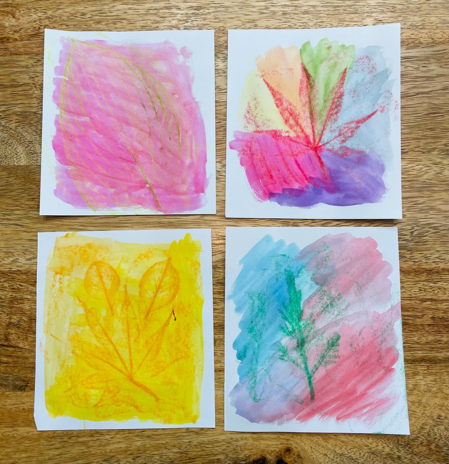 Botany Art Guide Montessori Leaves Flowers - Etsy