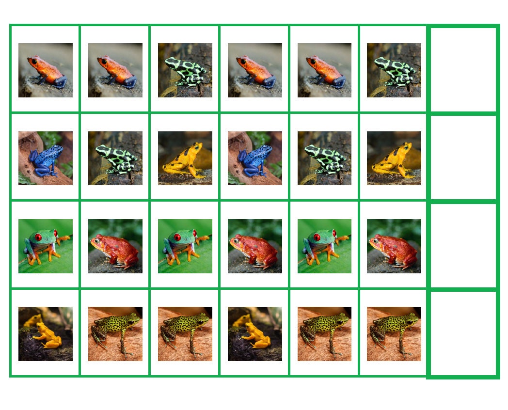 Frogs Activity Pack Montessori Amphibians Zoology - Etsy