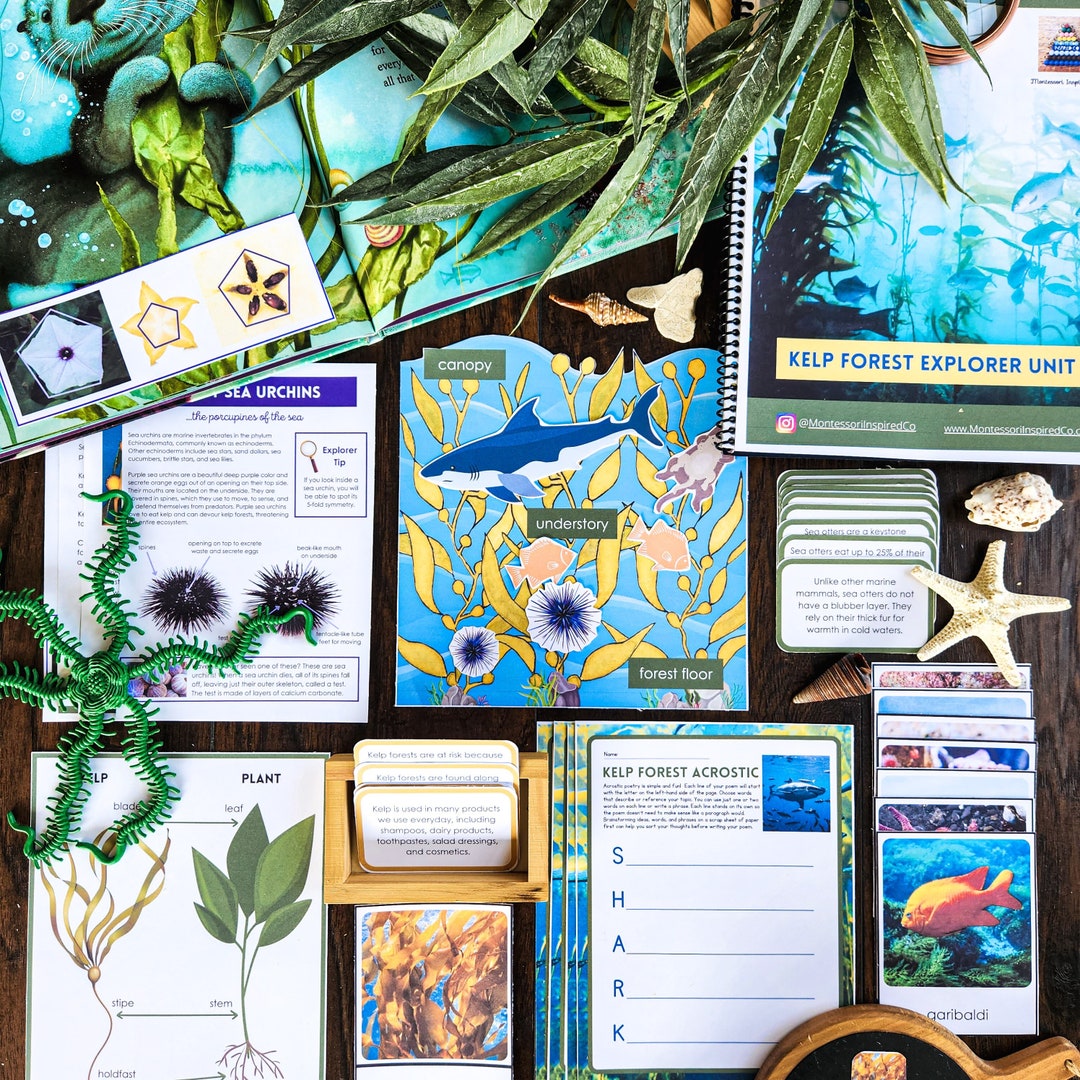 Kelp Forest Explorer Unit Study | Montessori | Zoology | Writing - Etsy