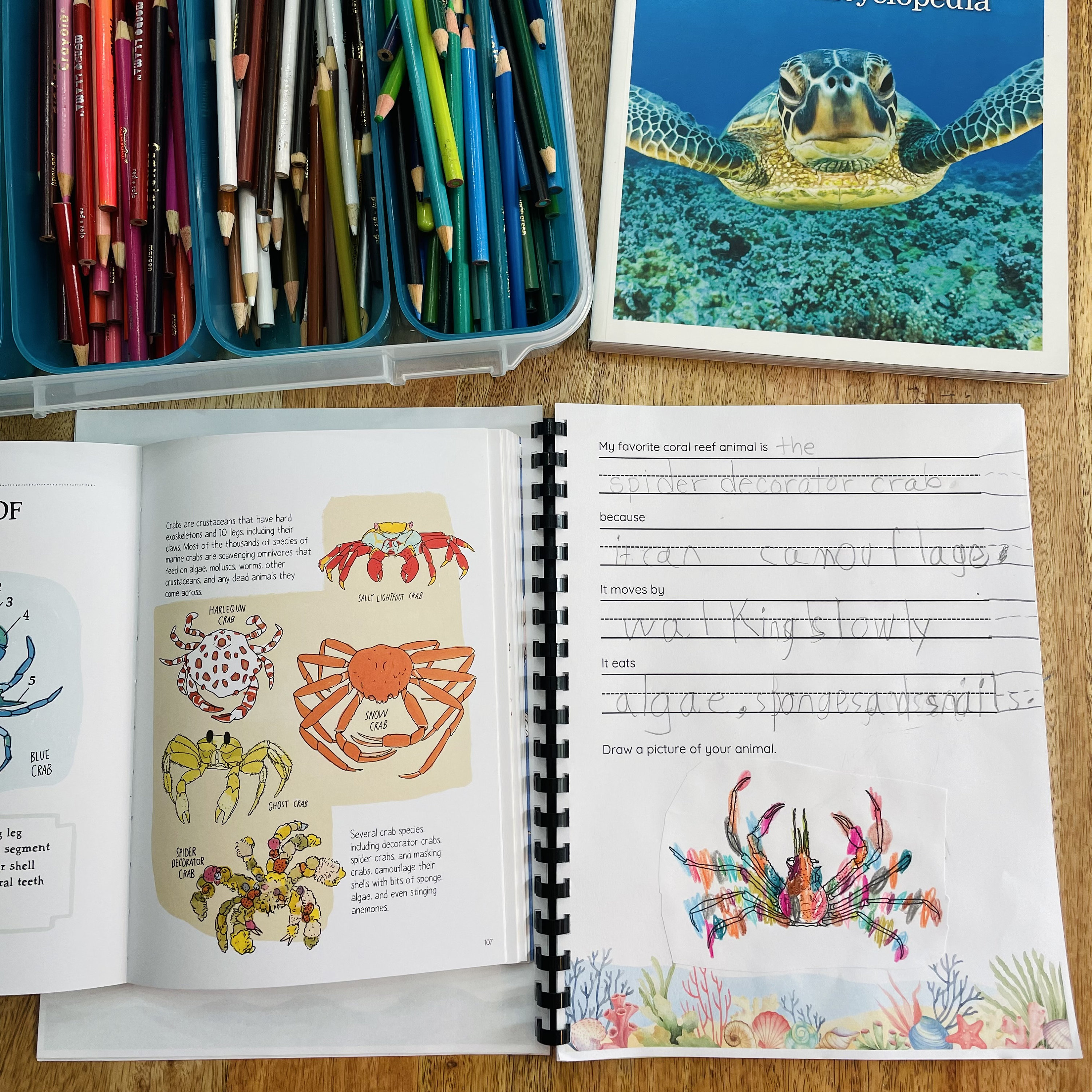 My Favorite Animals Book | Beginning Zoology Research for Kids ...