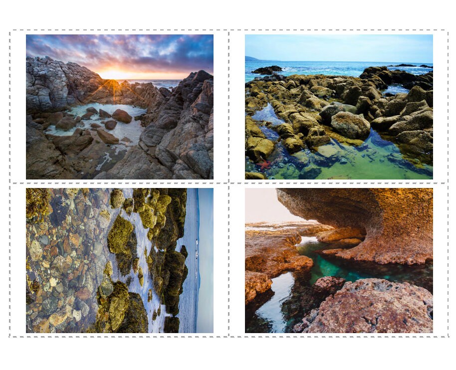 By the Seashore Montessori-inspired Learning Bundle Language - Etsy