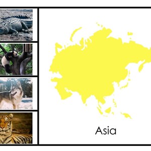 SPANISH VERSION Animals of the Continents Mats | Montessori Geography ...