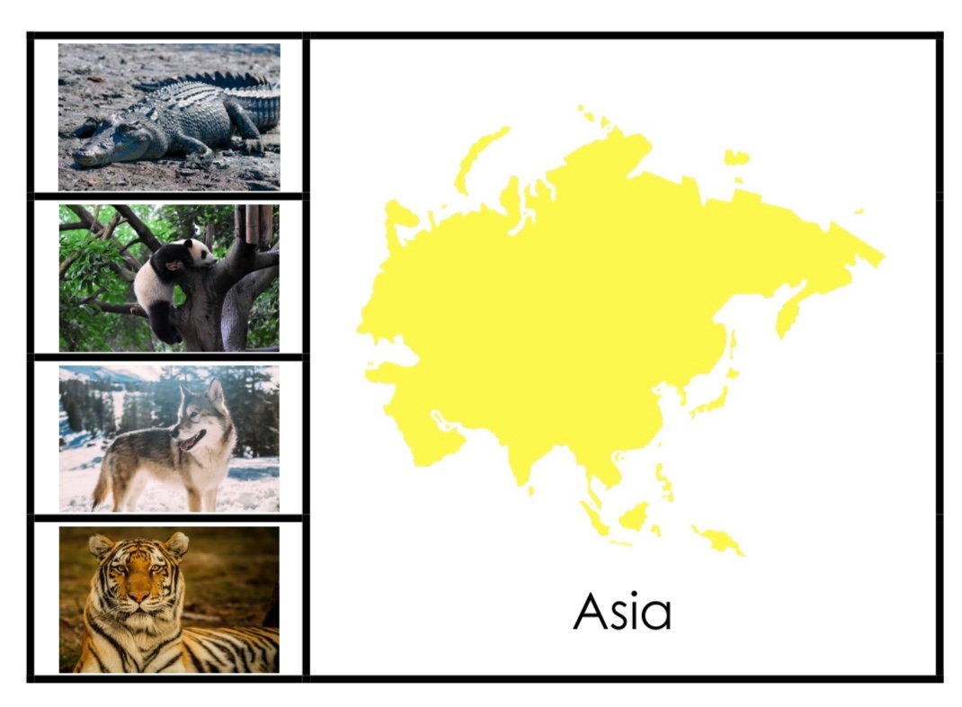 SPANISH VERSION Animals of the Continents Mats | Montessori Geography ...