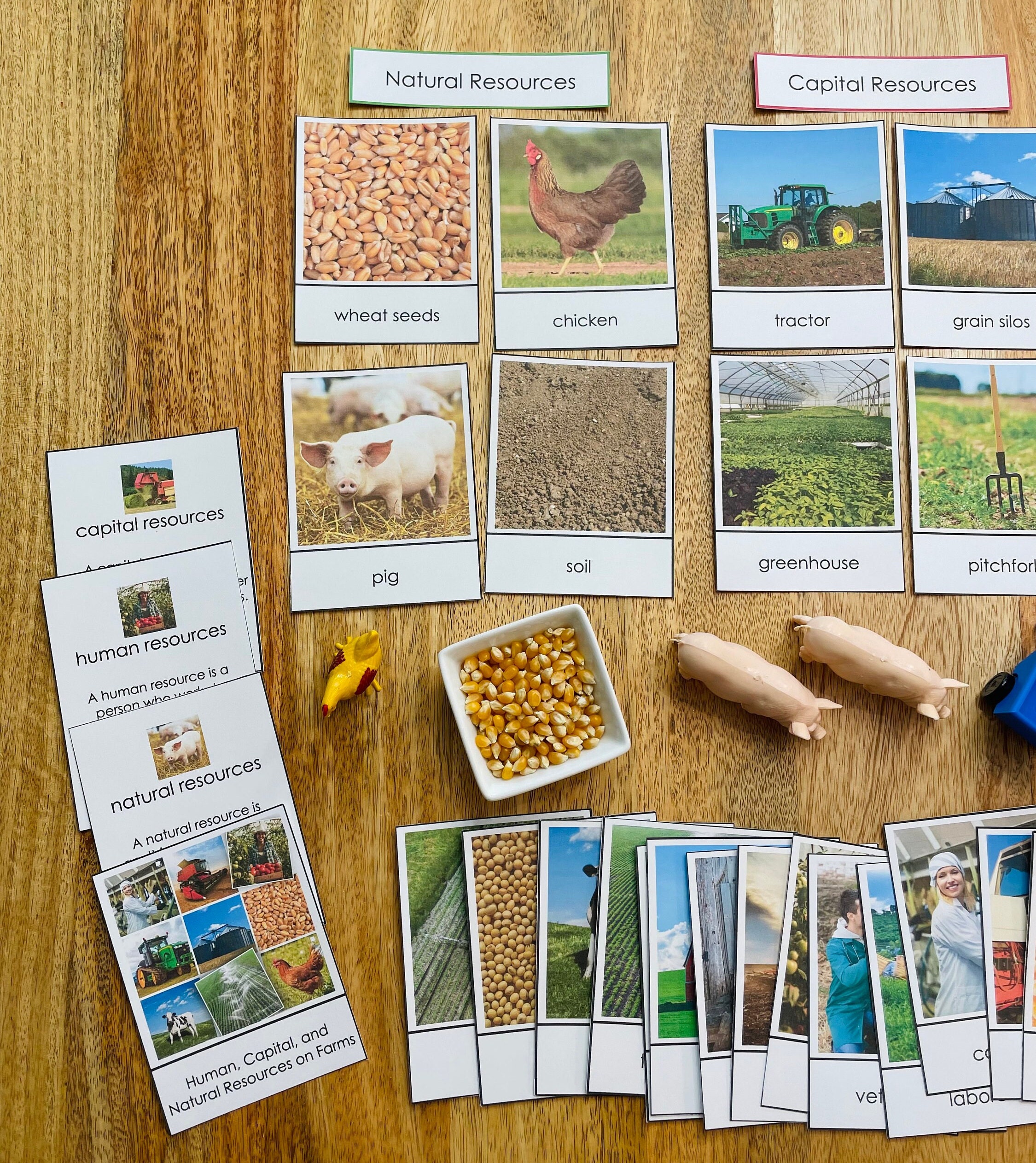 Capital Resources Images