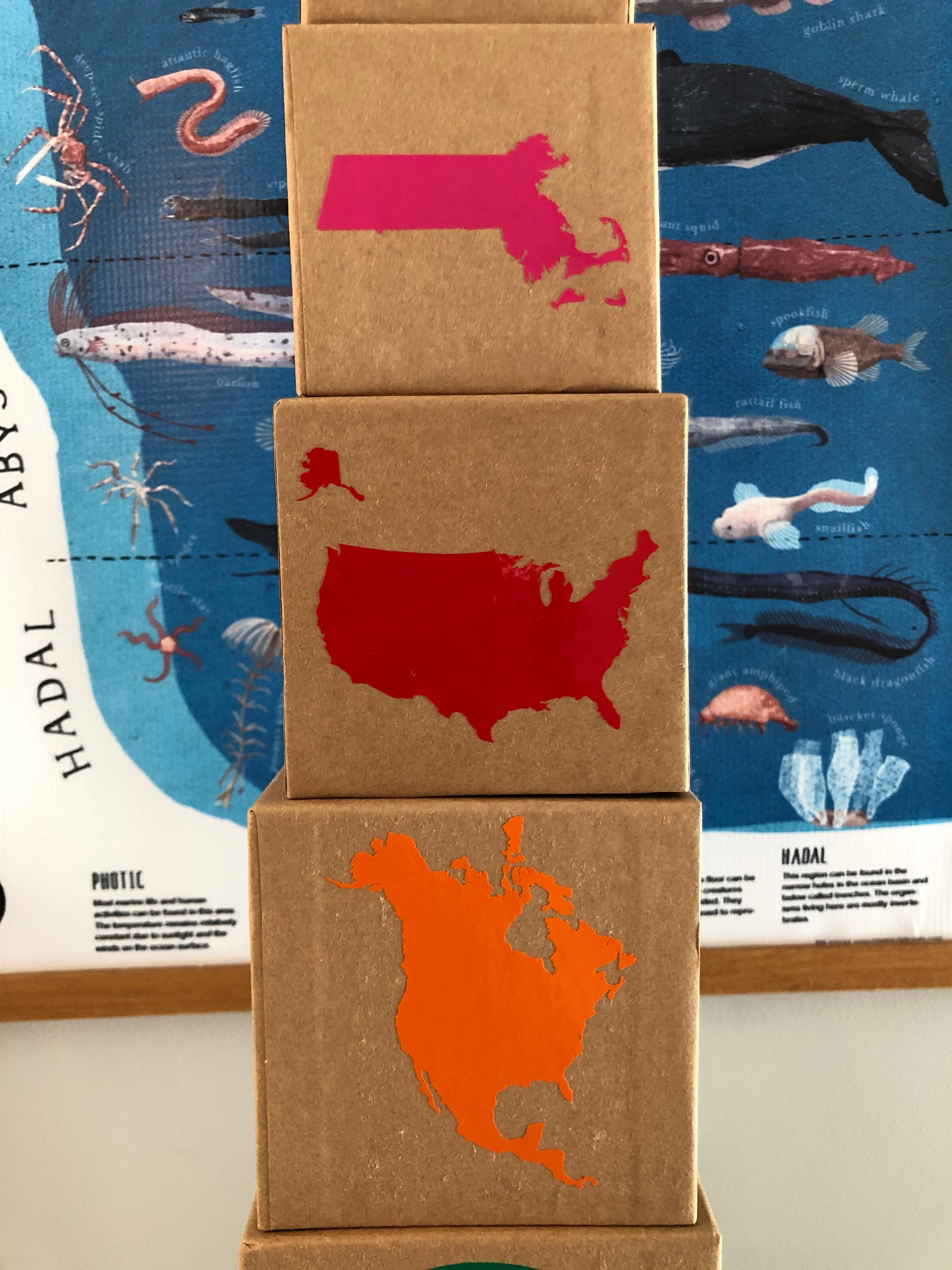 Cosmic Address Stickers My Place in the Universe Nesting | Etsy