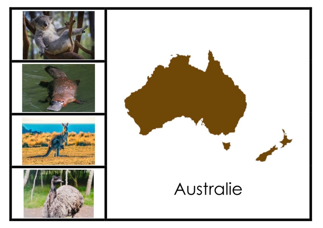 FRENCH VERSION Animals of the Continents Mats | Montessori Geography ...