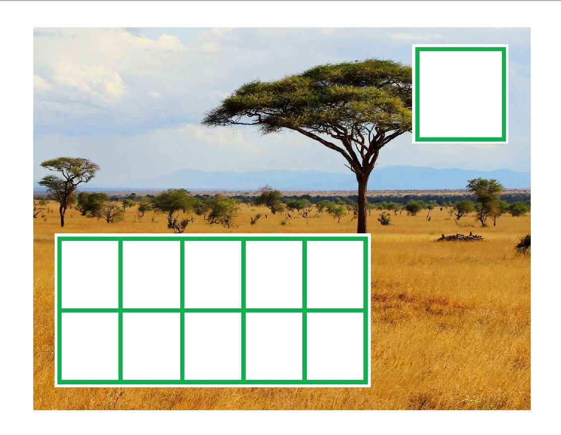 Biomes Ten Frames Preschool Math Counting Number Fluency - Etsy