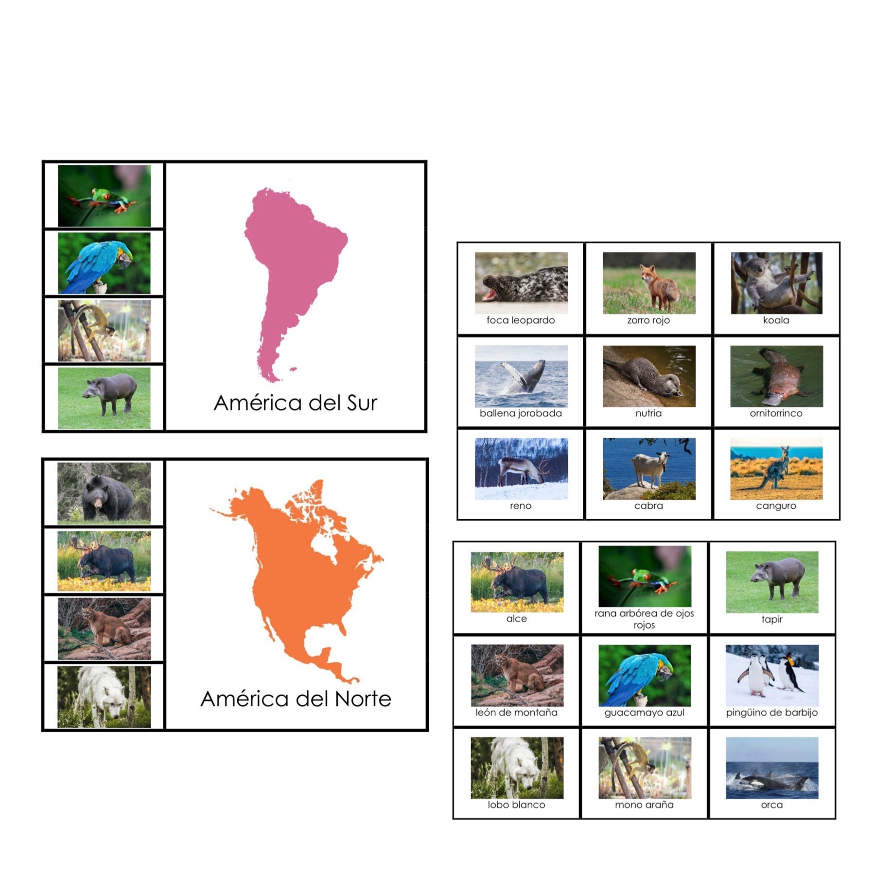 SPANISH VERSION Animals of the Continents Mats | Montessori Geography ...