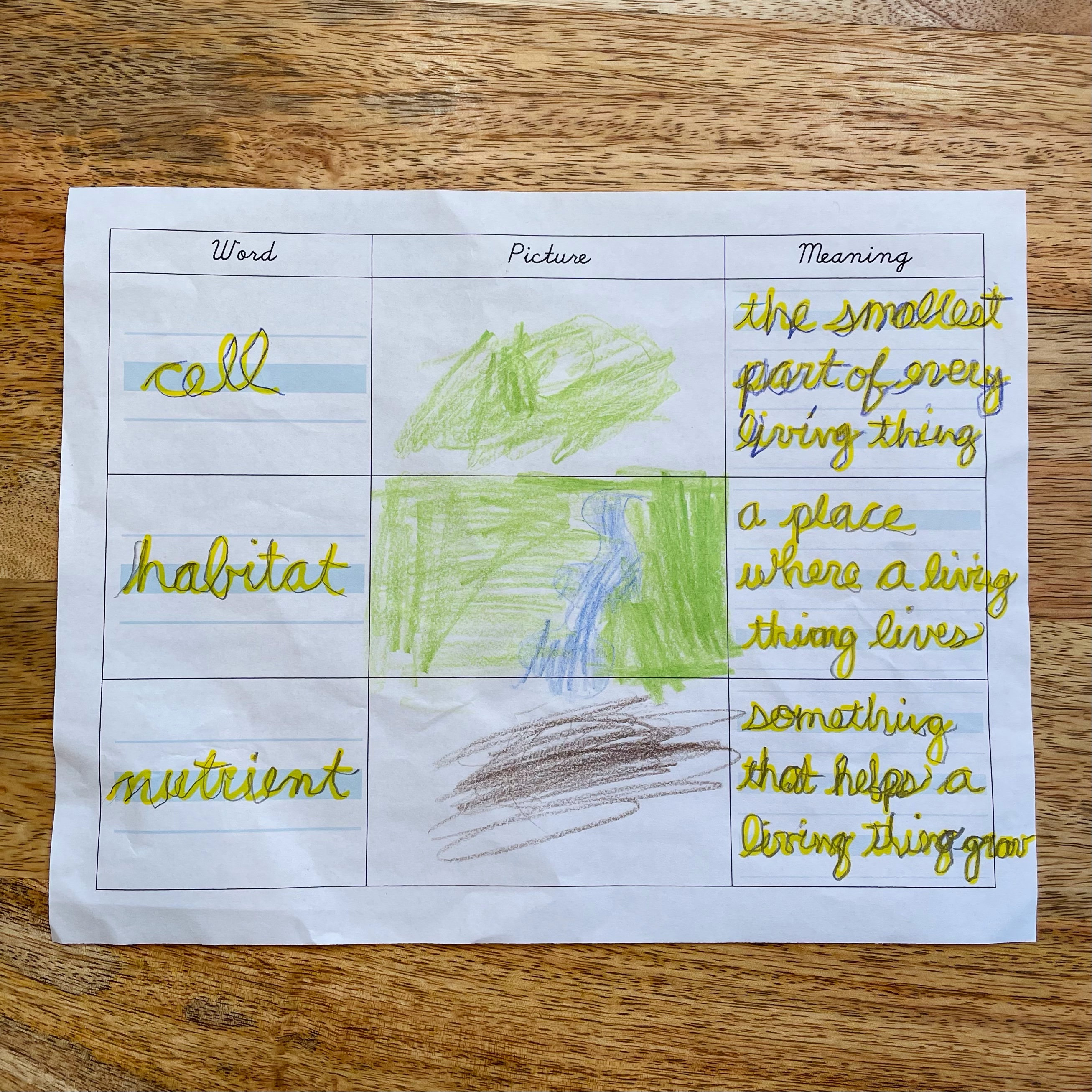Word-picture-meaning Vocabulary Templates | Elementary Writing | ELA - Etsy