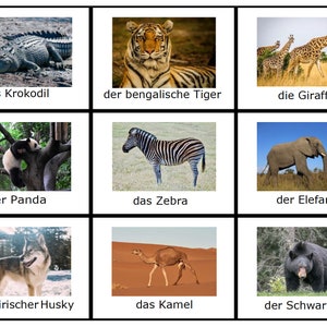 GERMAN VERSION Animals of the Continents Mats | Montessori Geography ...