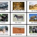 GERMAN VERSION Animals of the Continents Mats Montessori Geography ...