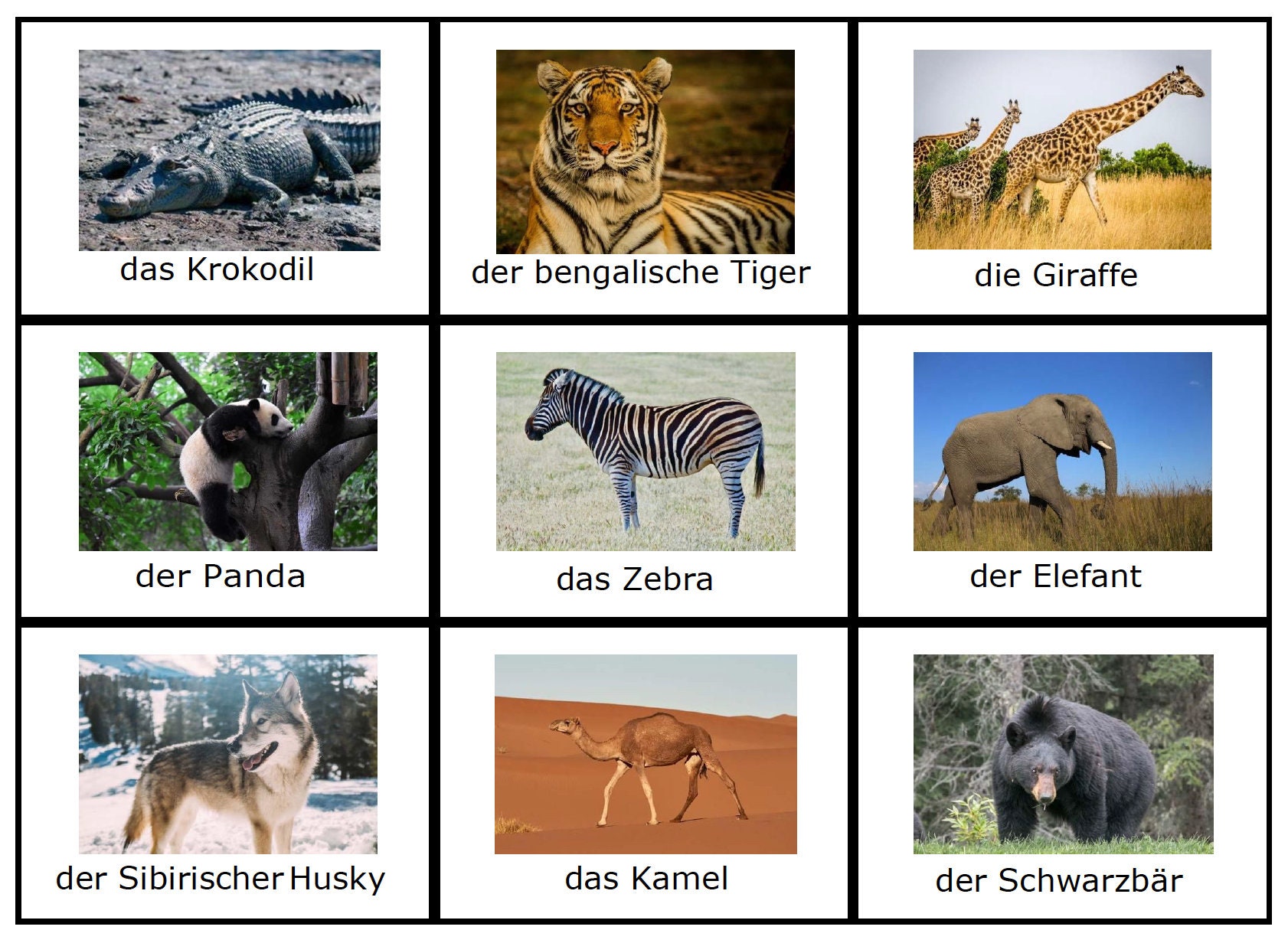 GERMAN VERSION Animals of the Continents Mats Montessori Geography ...