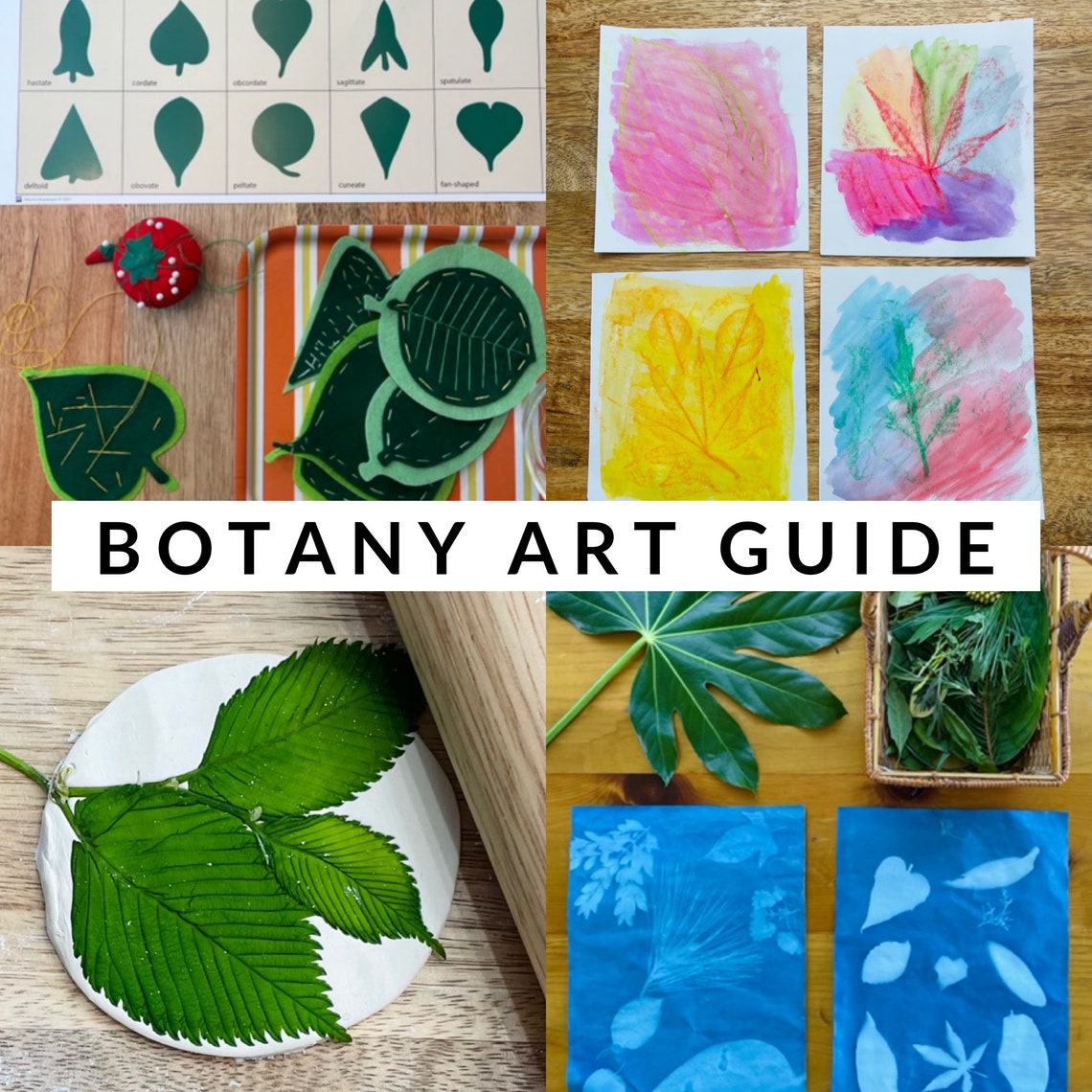 Botany Art Guide Montessori Leaves Flowers - Etsy