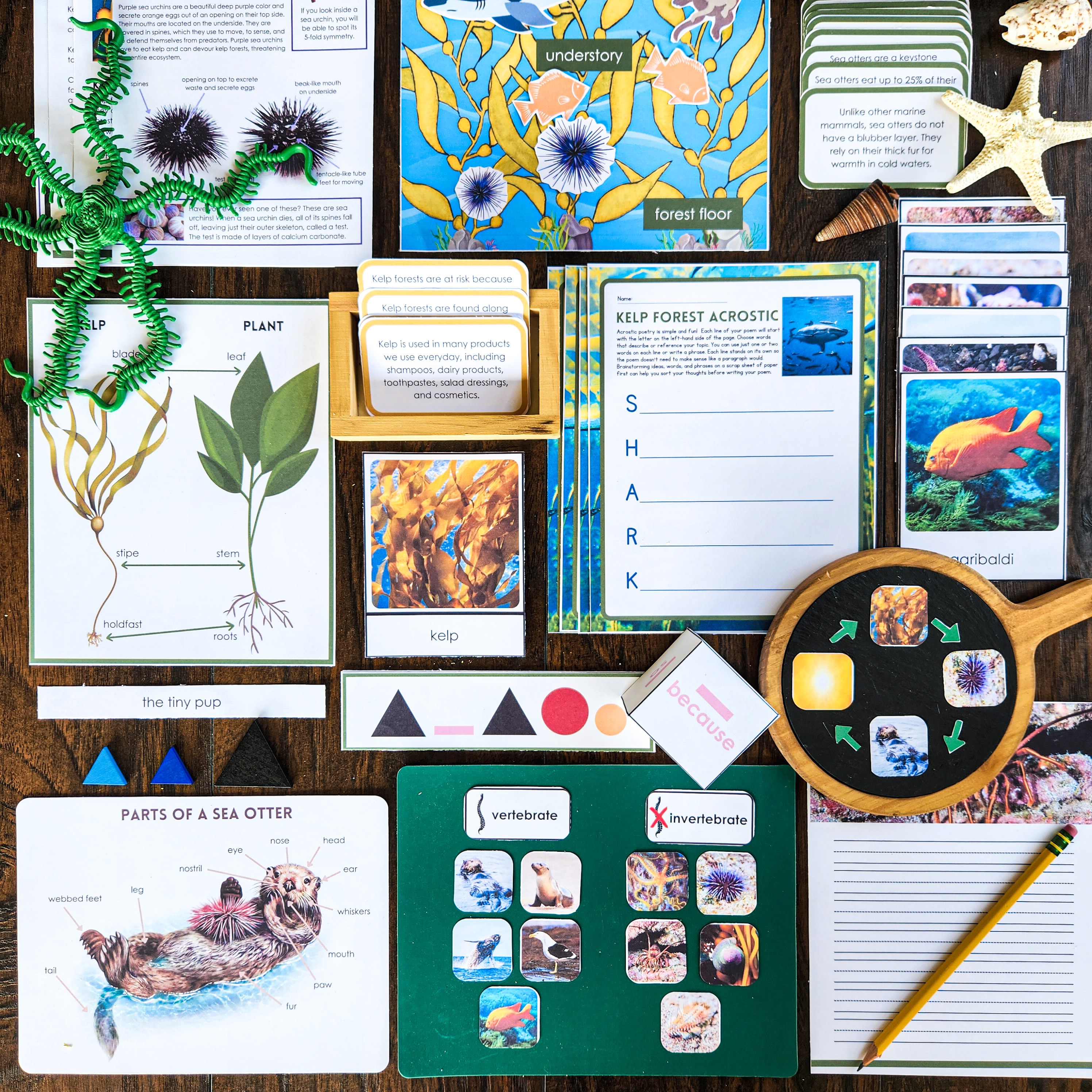 Kelp Forest Explorer Unit Study Montessori Zoology - Etsy