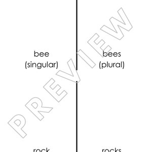 Singular & Plural Nouns Booklet |montessori Inspired Grammar - Etsy