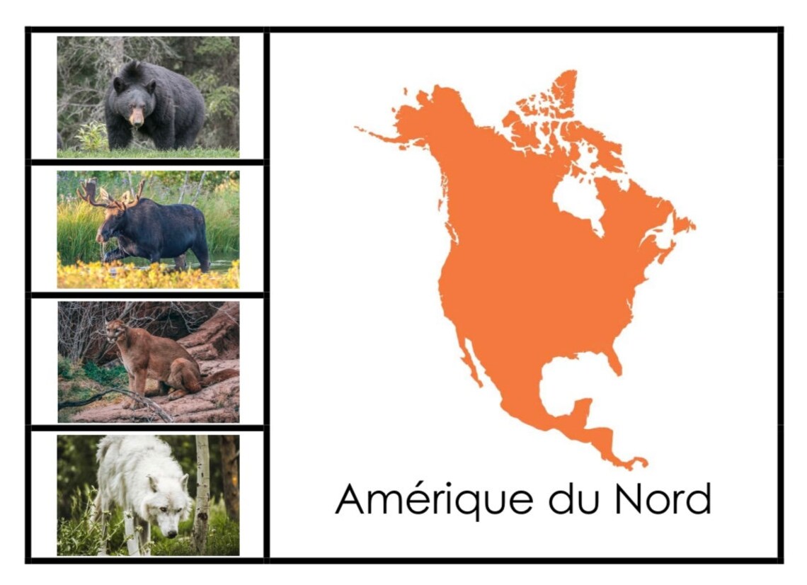 FRENCH VERSION Animals of the Continents Mats Montessori Geography ...