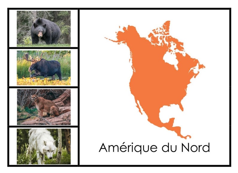 FRENCH VERSION Animals of the Continents Mats | Montessori Geography ...