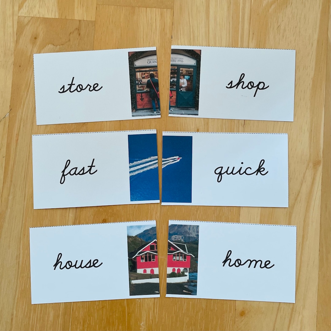 Synonym Picture Puzzles | Montessori | Language | Word Study | Print ...