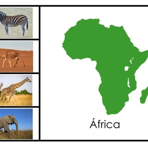 SPANISH VERSION Animals of the Continents Mats | Montessori Geography ...