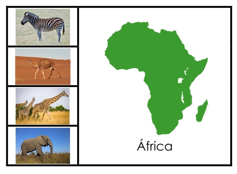 SPANISH VERSION Animals of the Continents Mats | Montessori Geography ...