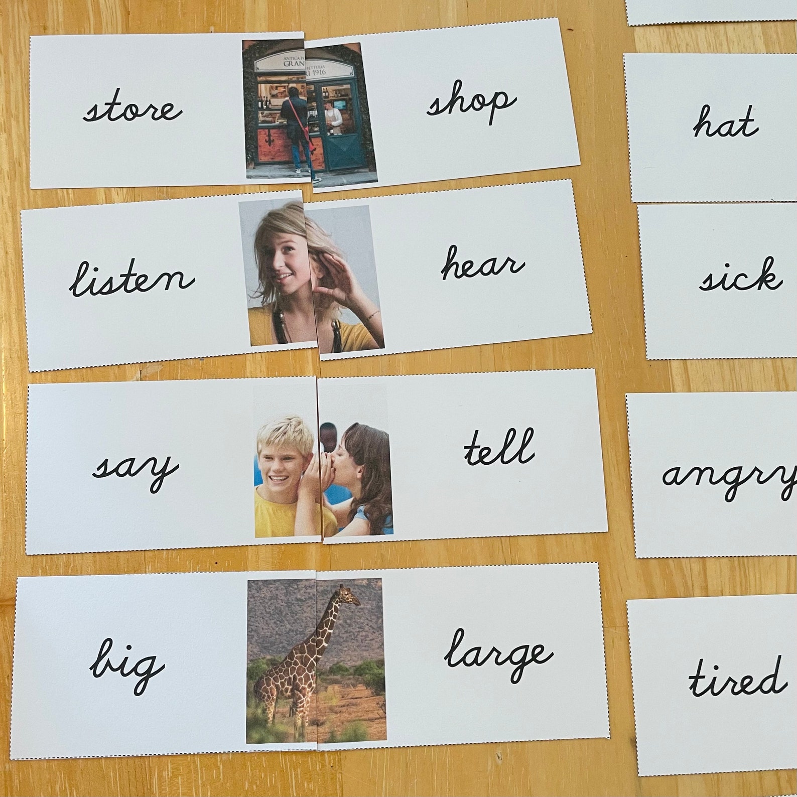 Synonym Picture Puzzles | Montessori | Language | Word Study | Print ...