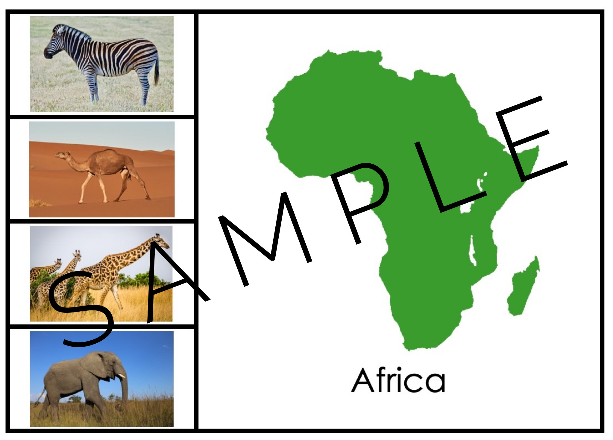 Animals of the World Continent Mats PRINT Montessori - Etsy