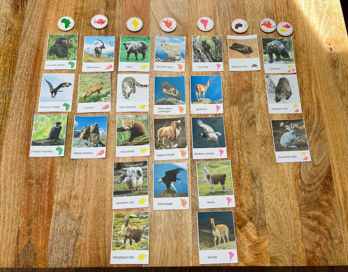 Montessori-inspired Mountain Activity Pack Geography - Etsy Canada