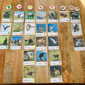 Montessori-inspired Mountain Activity Pack | Geography | Biomes - Etsy ...