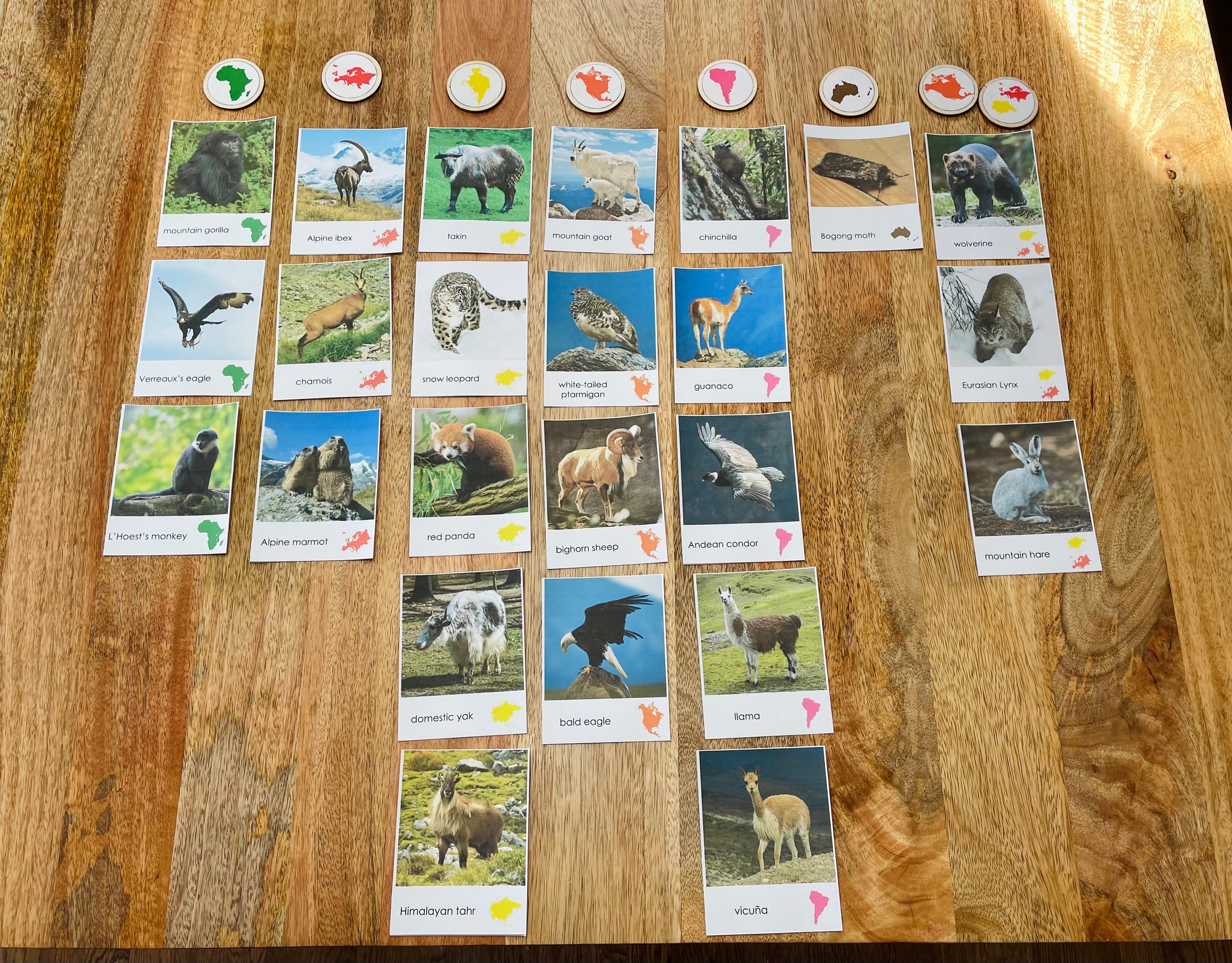 Montessori-inspired Mountain Activity Pack Geography - Etsy Canada