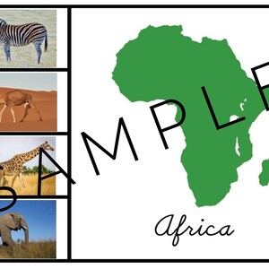 Animals of the World Continent Mats CURSIVE | Montessori Geography ...