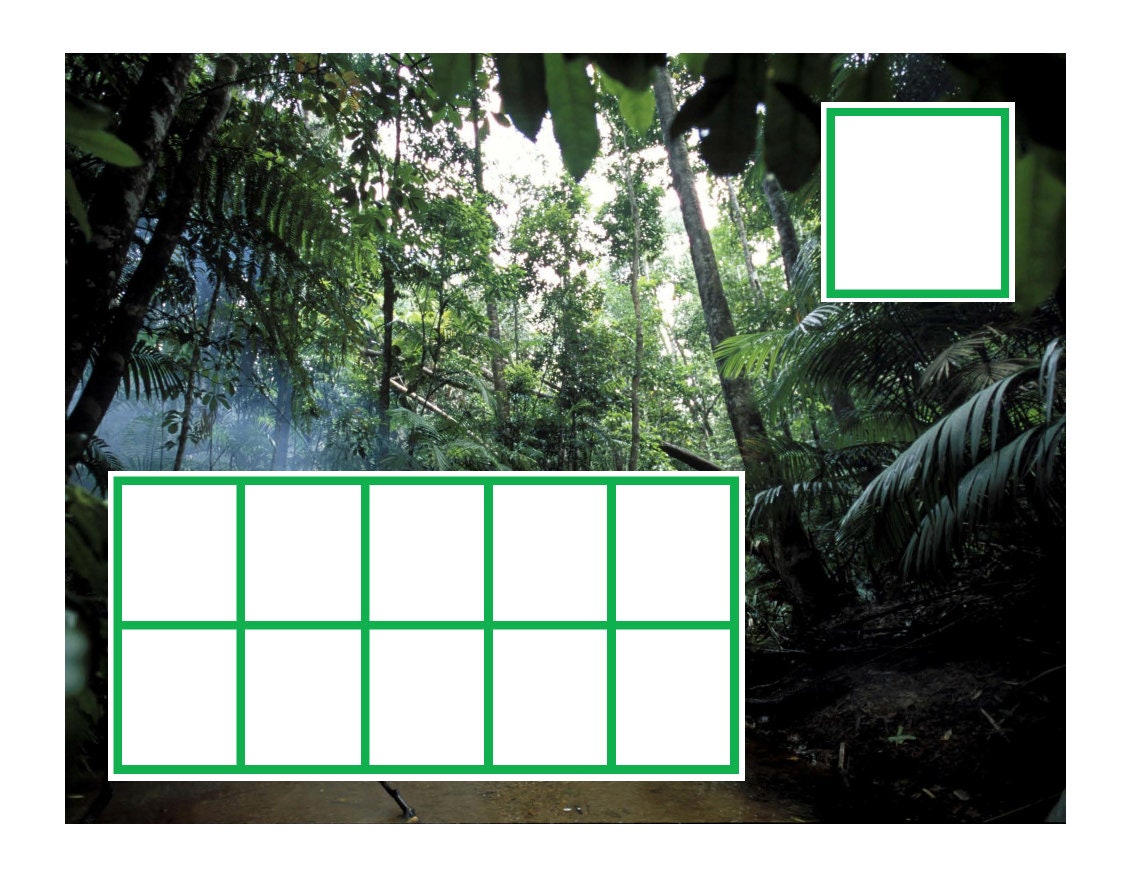 Biomes Ten Frames | Preschool Math | Counting | Number Fluency - Etsy