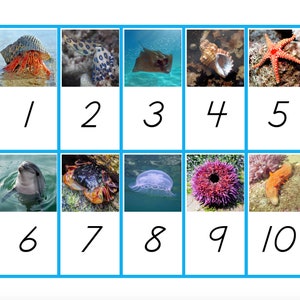 By the Seashore Montessori-inspired Learning Bundle | Language | Math ...