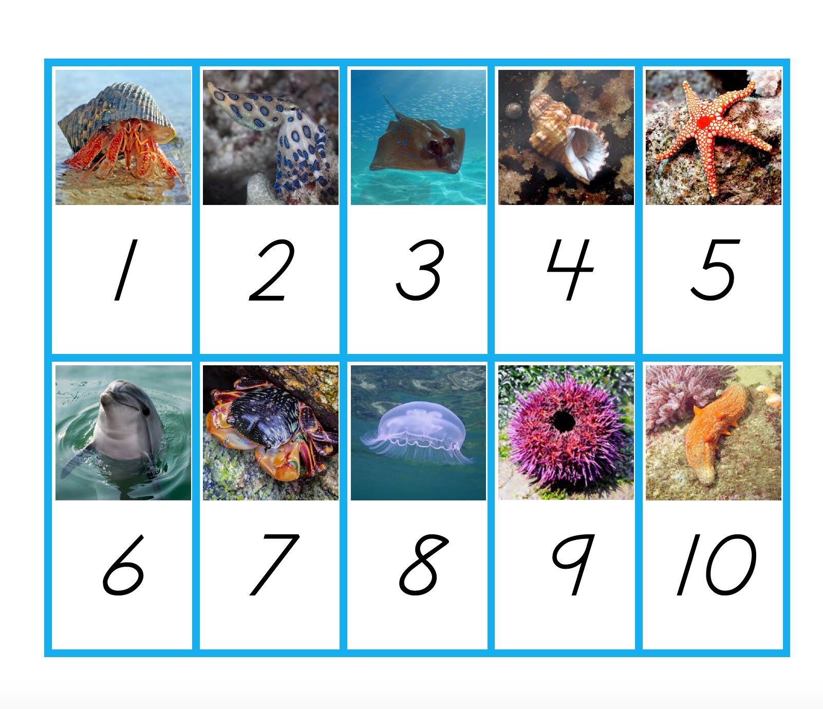 By the Seashore Montessori-inspired Learning Bundle | Language | Math ...