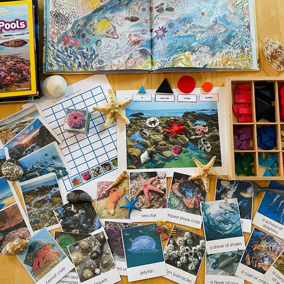 By the Seashore Montessori-inspired Learning Bundle Language - Etsy