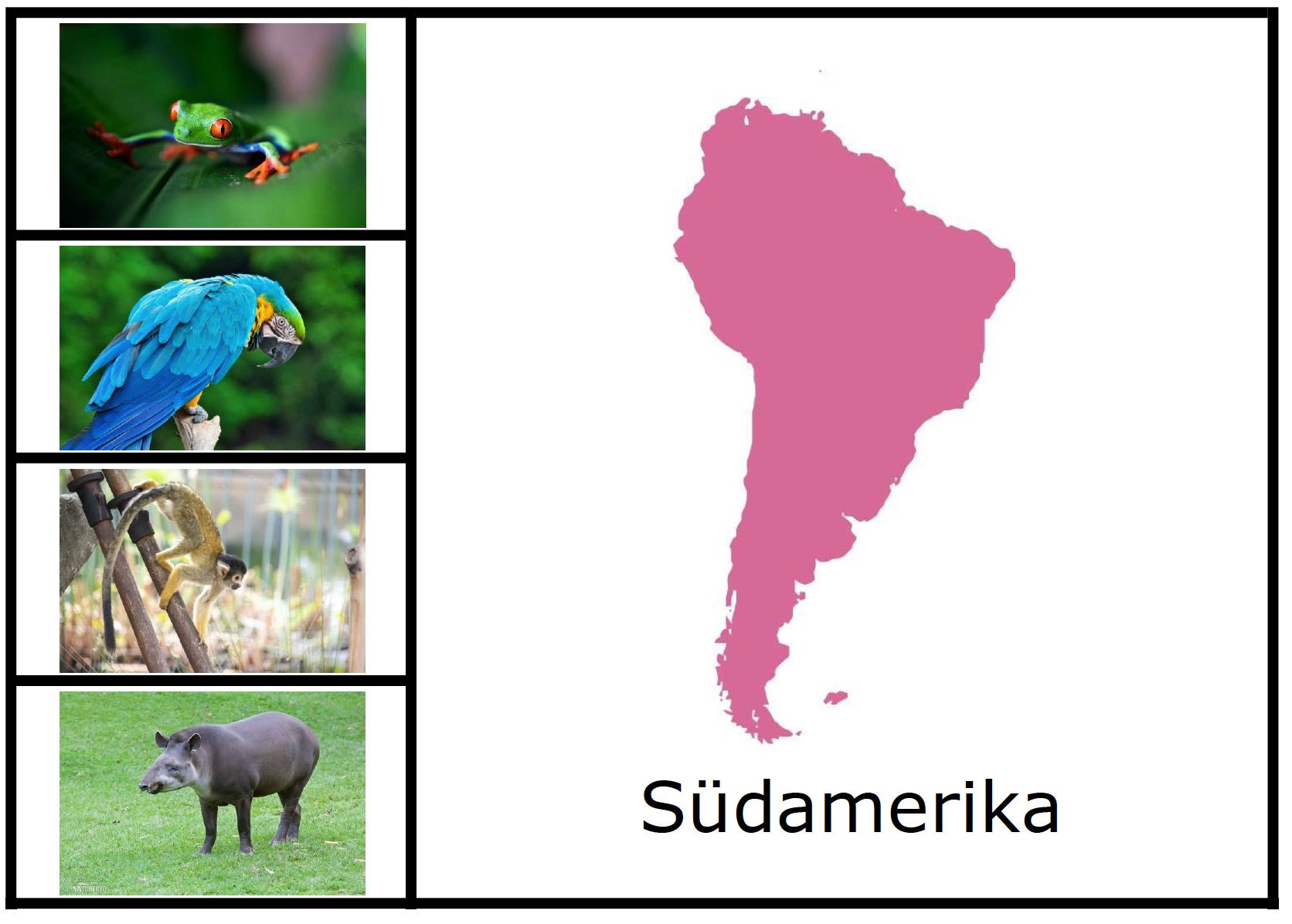 GERMAN VERSION Animals of the Continents Mats Montessori Geography ...