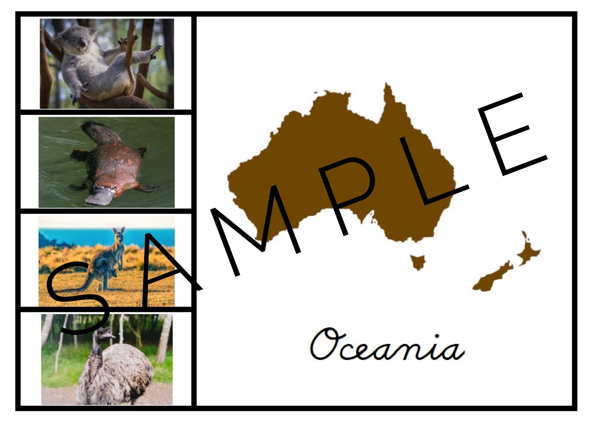 Animals of the World Continent Mats CURSIVE | Montessori Geography ...