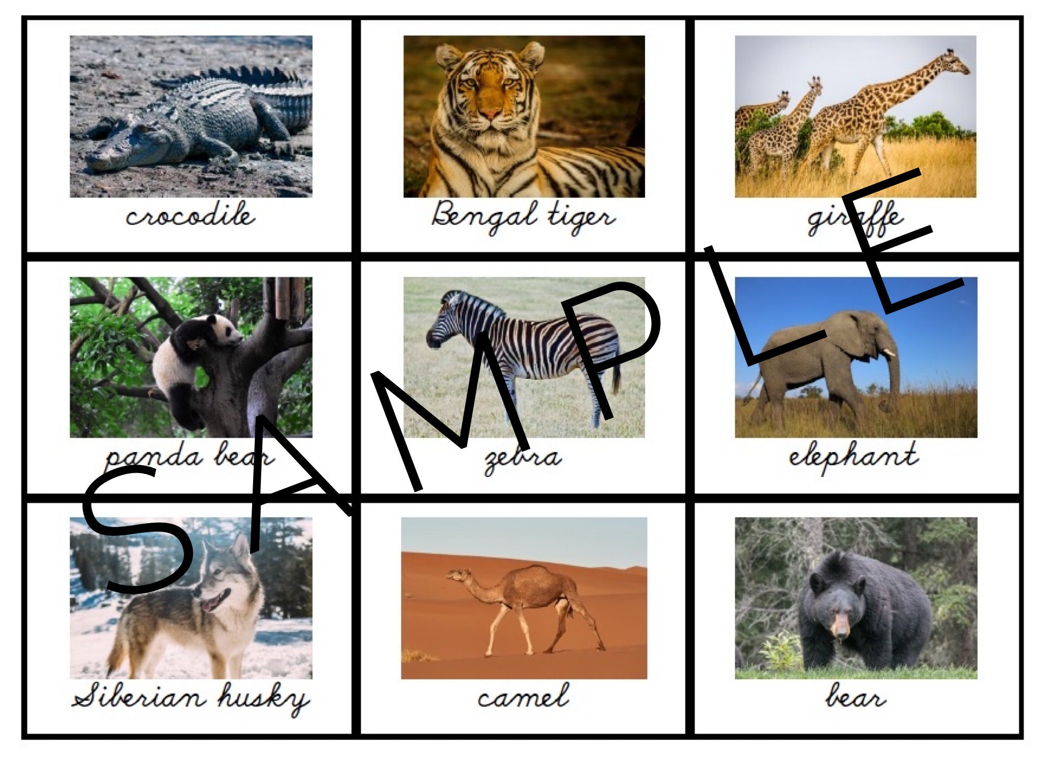 Animals of the World Continent Mats CURSIVE | Montessori Geography ...