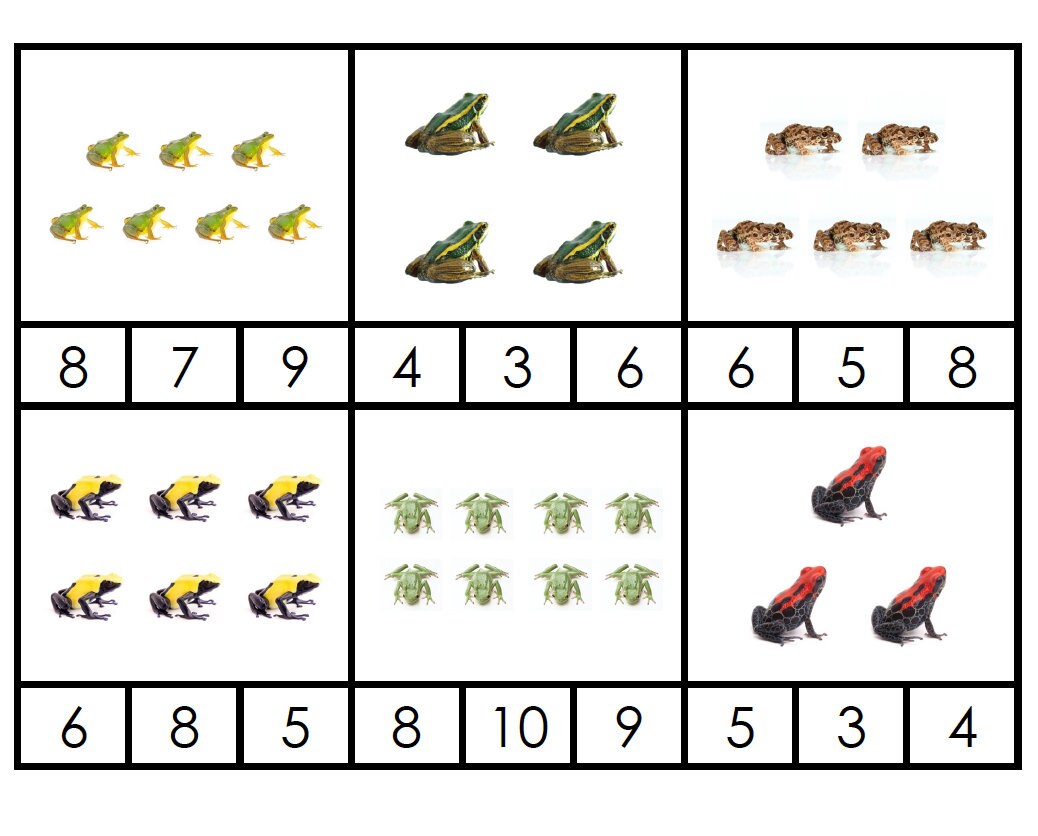 Frogs Activity Pack | Montessori | Amphibians | Zoology - Etsy