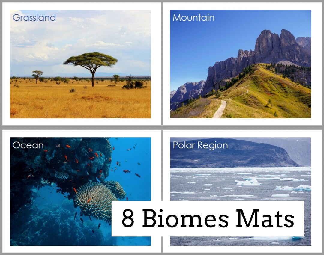 Biomes Mats - Print Font | Digital Download - Etsy