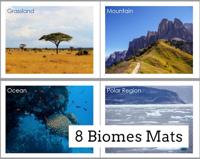 Montessori-inspired Mountain Activity Pack | Geography | Biomes - Etsy ...