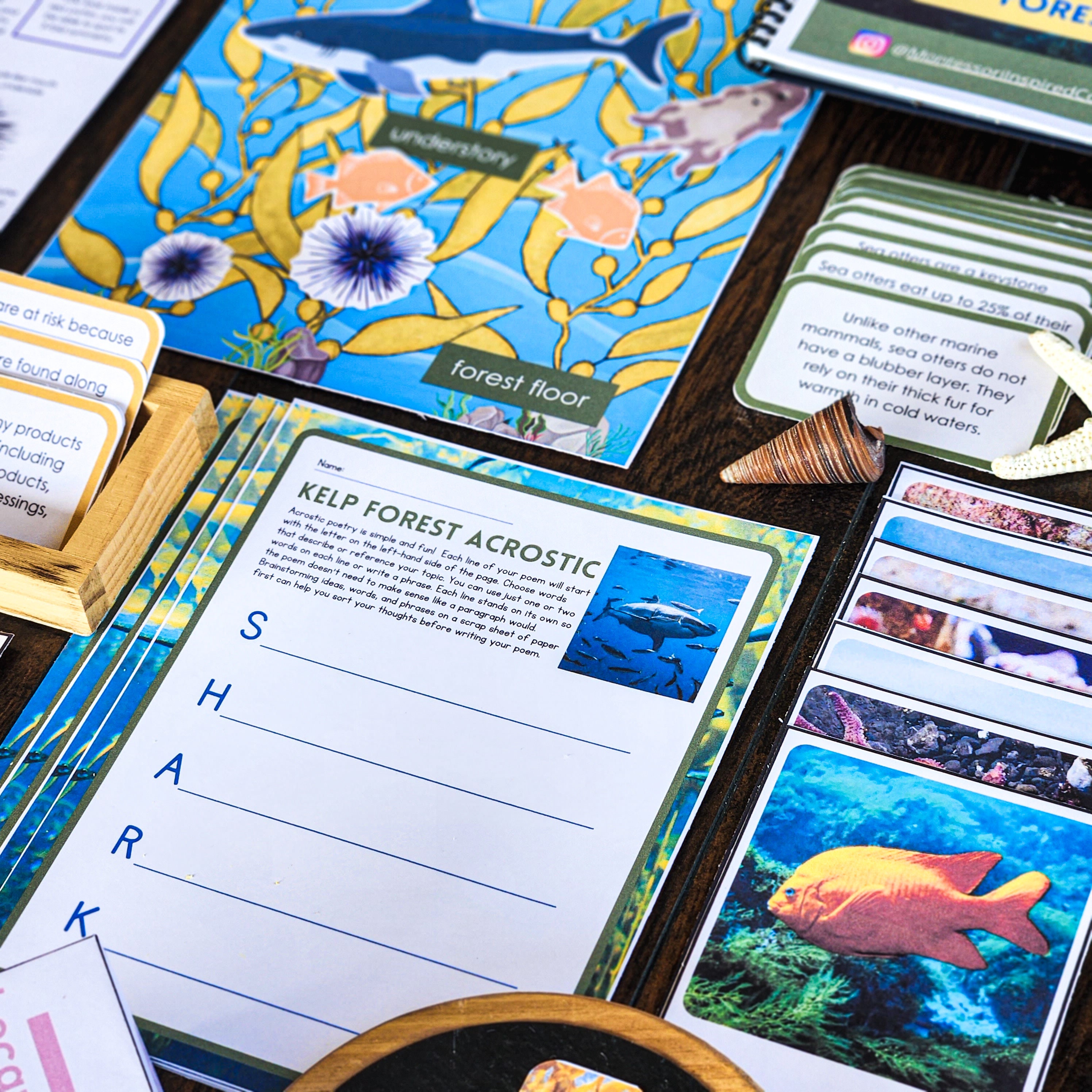 Kelp Forest Explorer Unit Study | Montessori | Zoology | Writing - Etsy