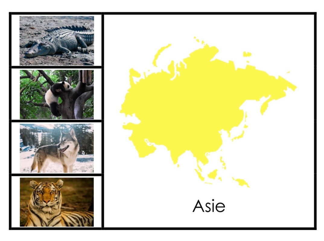 FRENCH VERSION Animals of the Continents Mats Montessori Geography ...